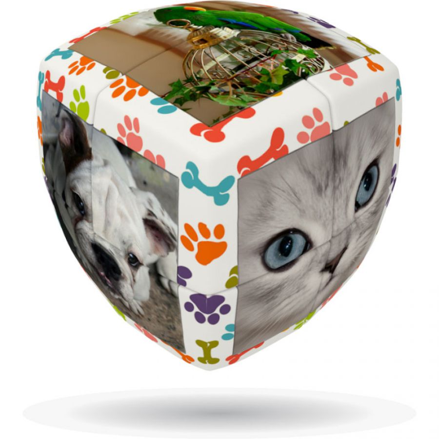 V-cube animaux domestiques 2x2 - NetJuggler